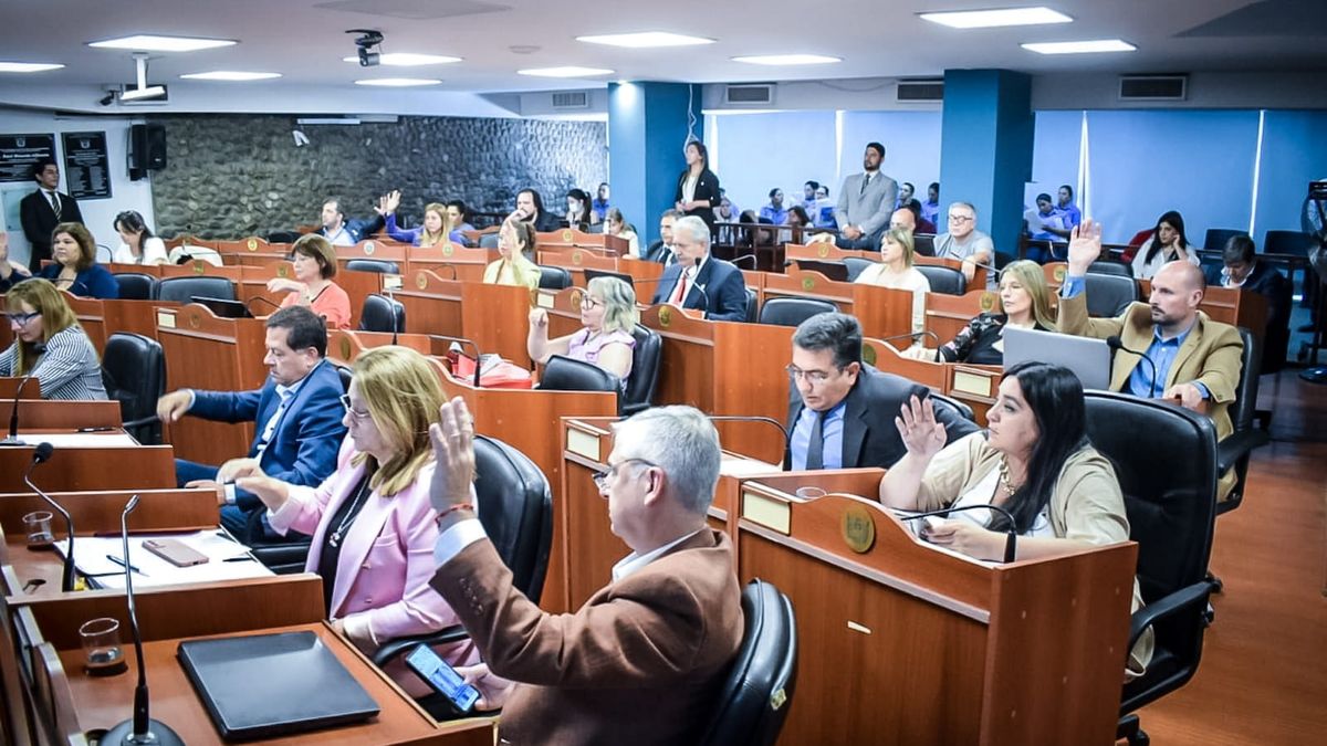 La situación de Guaraz dividió al bloque oficialista y hubo polémica ...