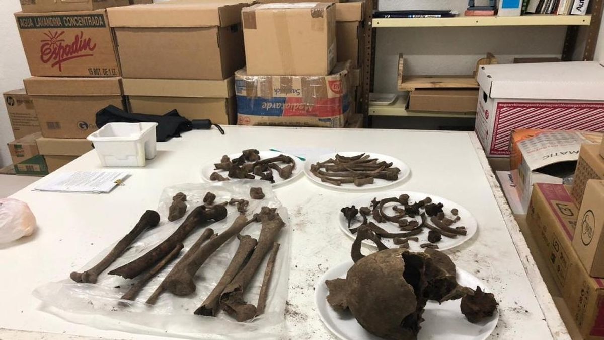 Rescataron restos óseos arqueológicos en una casa