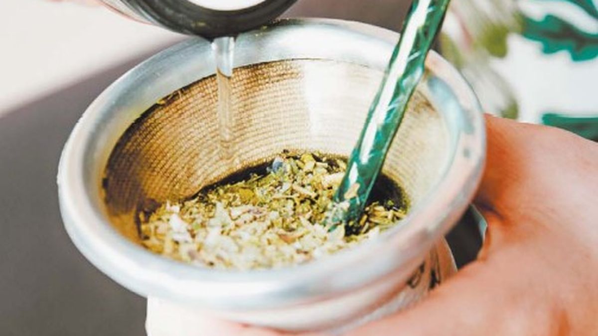 Receta de cómo cebar