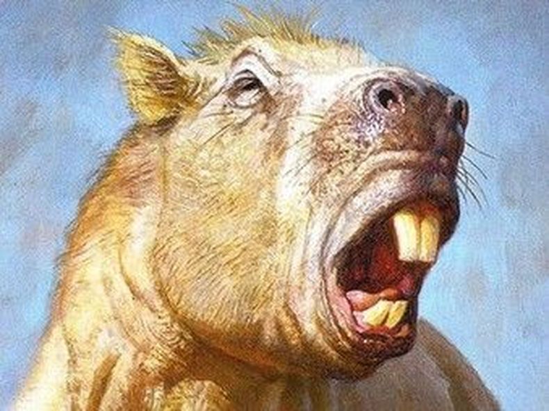 El Raton Mas Grande Del Mundo