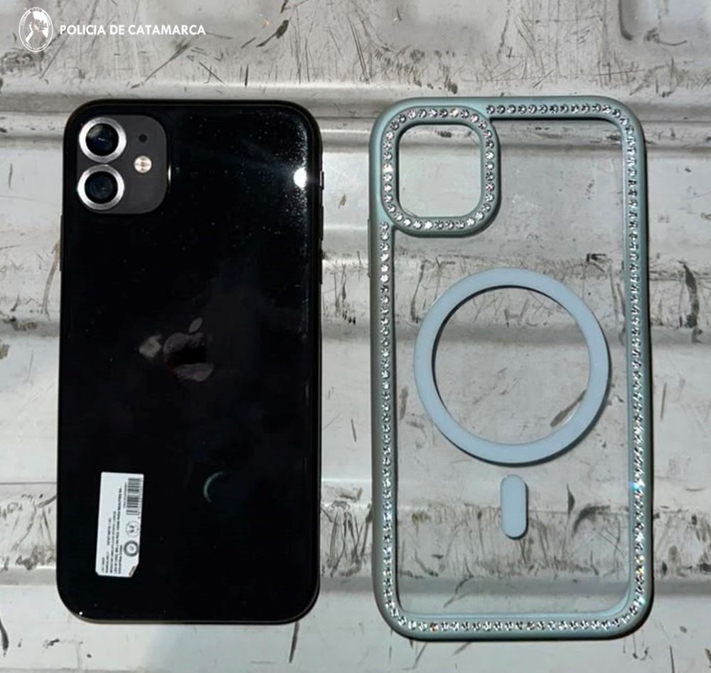 Arrebató un celular y le dieron una golpiza