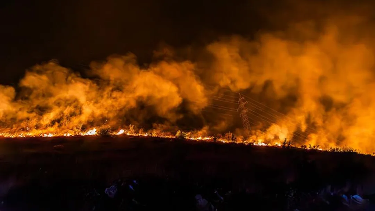 Los incendios forestales en la región occidental de Paraguay arrasaron ...