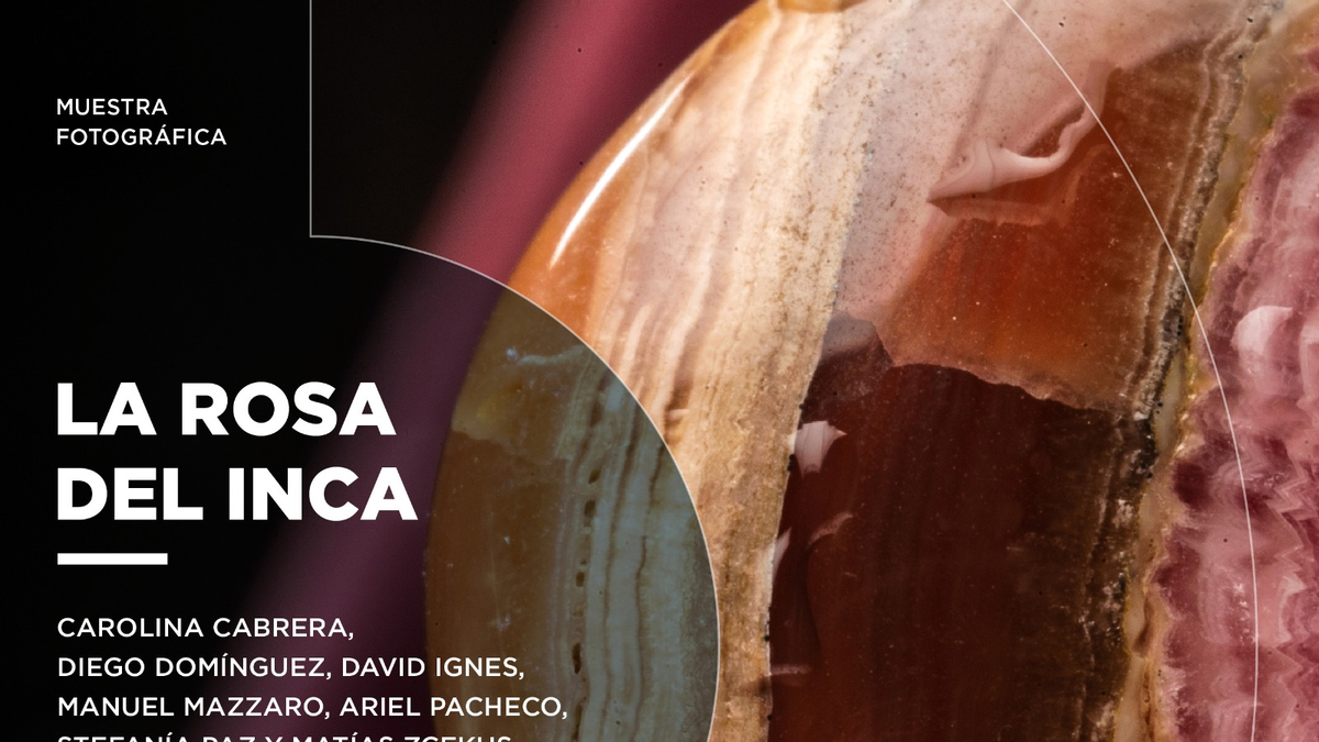 Ginocchio presenta La Rosa del Inca en Diputados