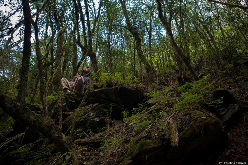 El parque de arrayanes tendrá más de 200 especies de aves