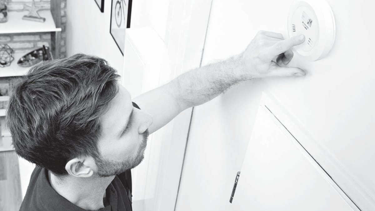 Detectores: qué son y cómo funcionan