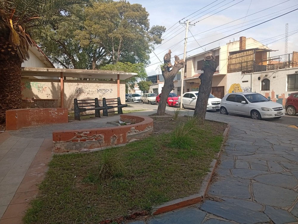 Vecinos expresaron su malestar por la poda de árboles en la Manzana de ...