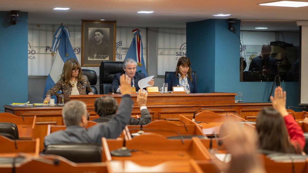 El Senado aprobó variadas leyes