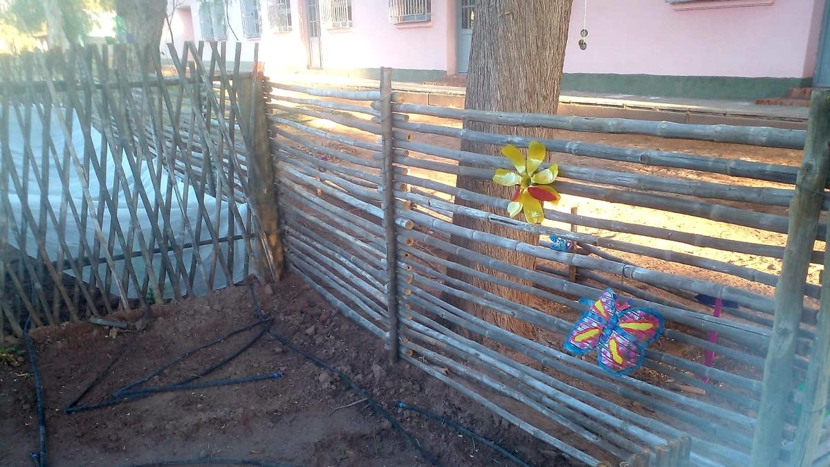 Tinogasta: Programa Cultivando vida y aprendizaje