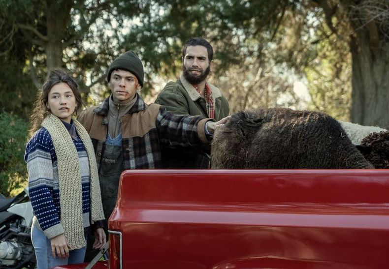 El Marginal 5: los personajes enfrentan su destino en seis episodios