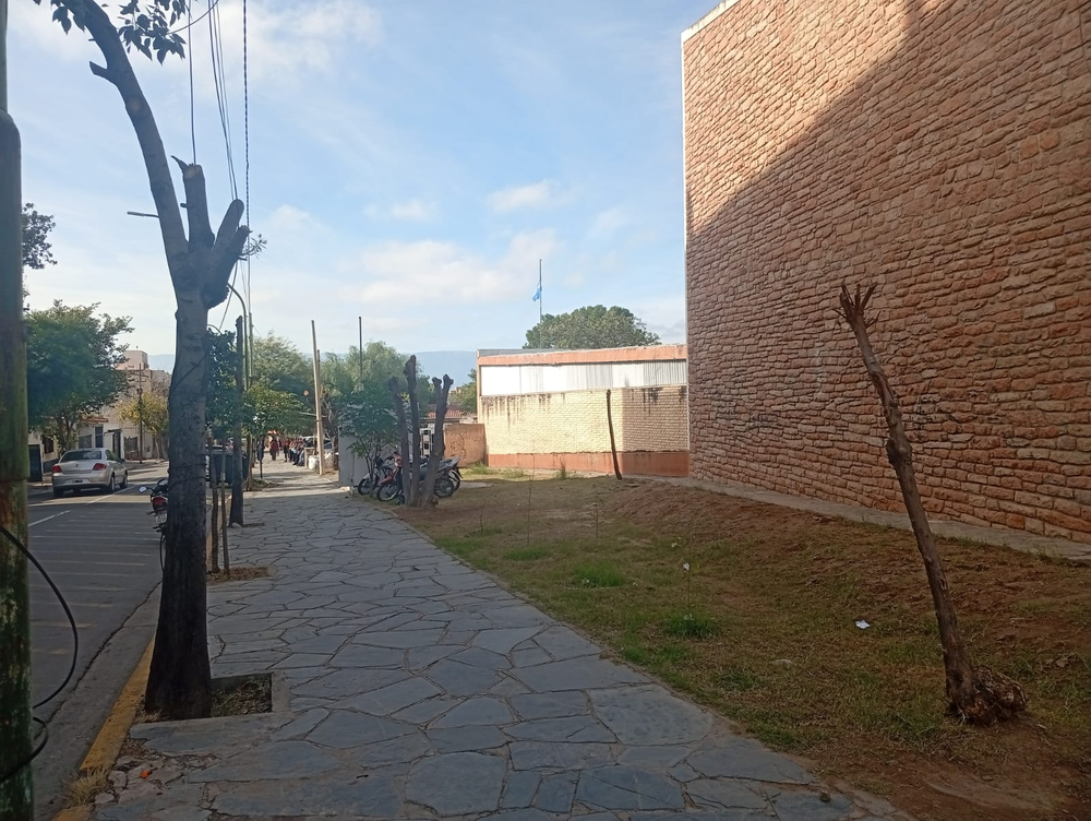 Vecinos expresaron su malestar por la poda de árboles en la Manzana de ...