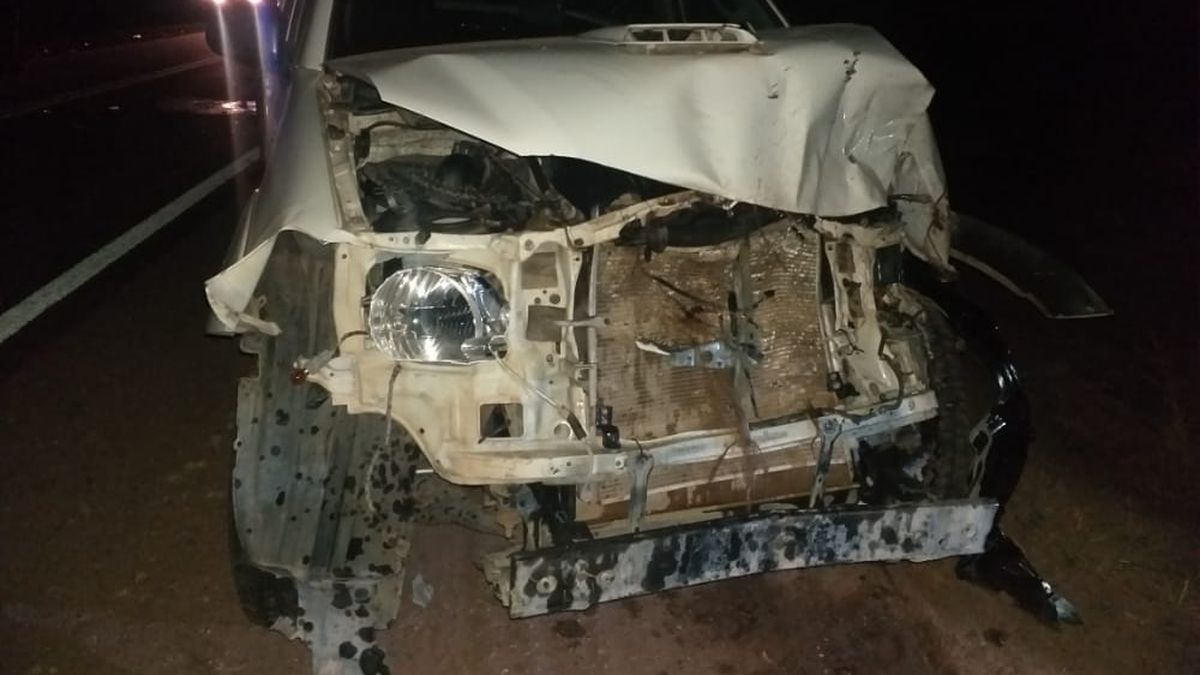 Fiambalá: destrozó un vehículo oficial contra un tropel de caballos