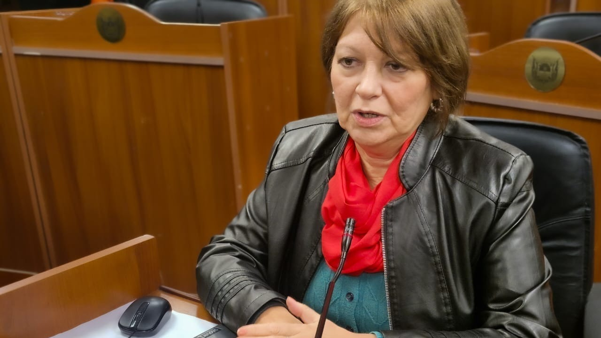 Adriana Díaz: Es una bajeza utilizar la discapacidad como un insulto
