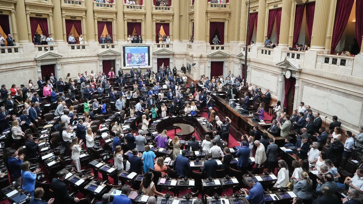 La Cámara De Diputados Continuará Mañana El Debate Por La Ley Ómnibus