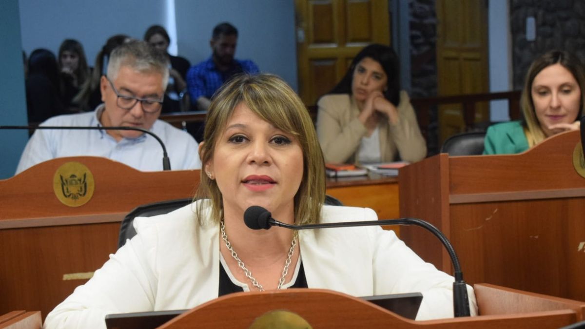 La situación de Guaraz desembarcó en Diputados y piden su apartamiento