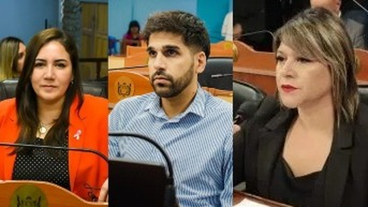 Sectores de la UCR piden lista de consenso