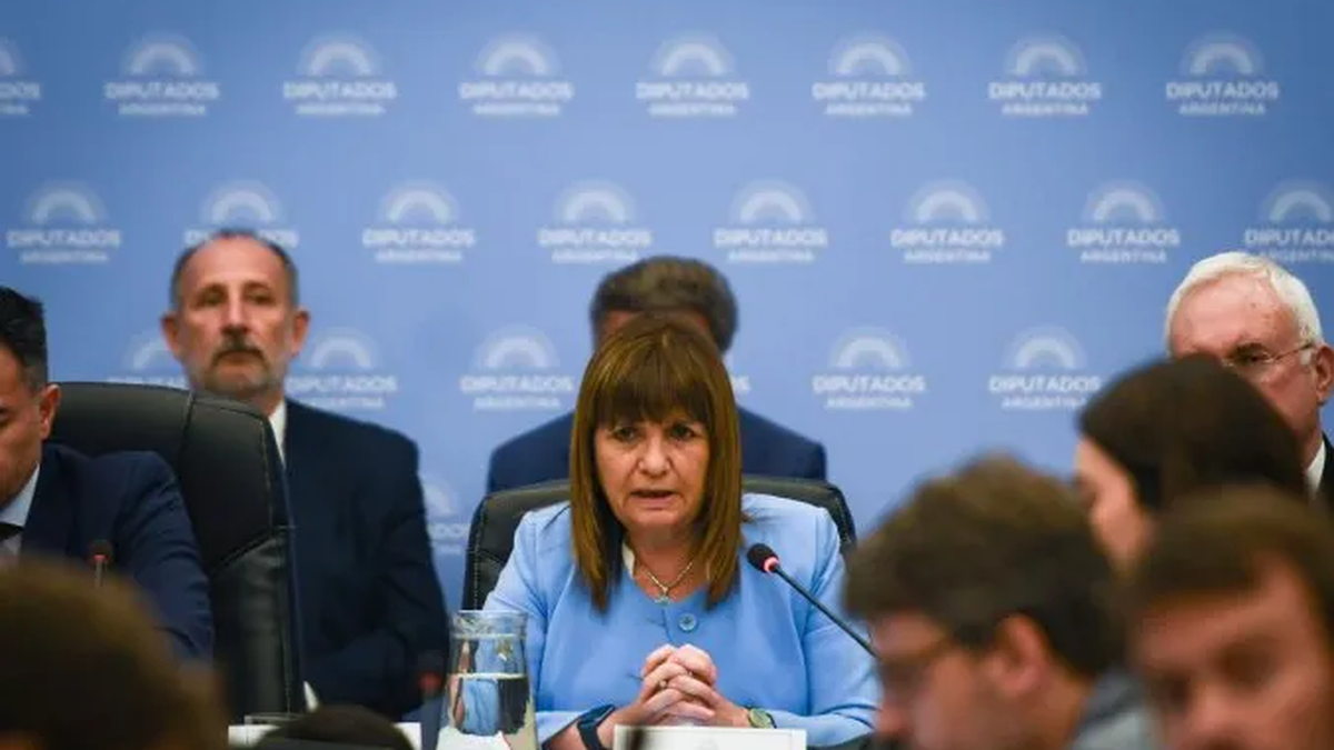 Patricia Bullrich admitió el error por no diferenciar enfermedades ...