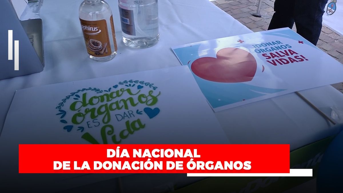 Día Nacional de la donación de órganos