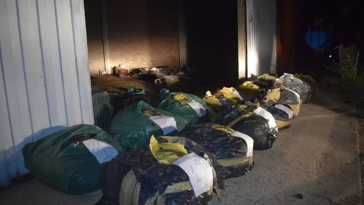 Ariel Alanís fue detenido otra vez con más de 200 kilos de droga