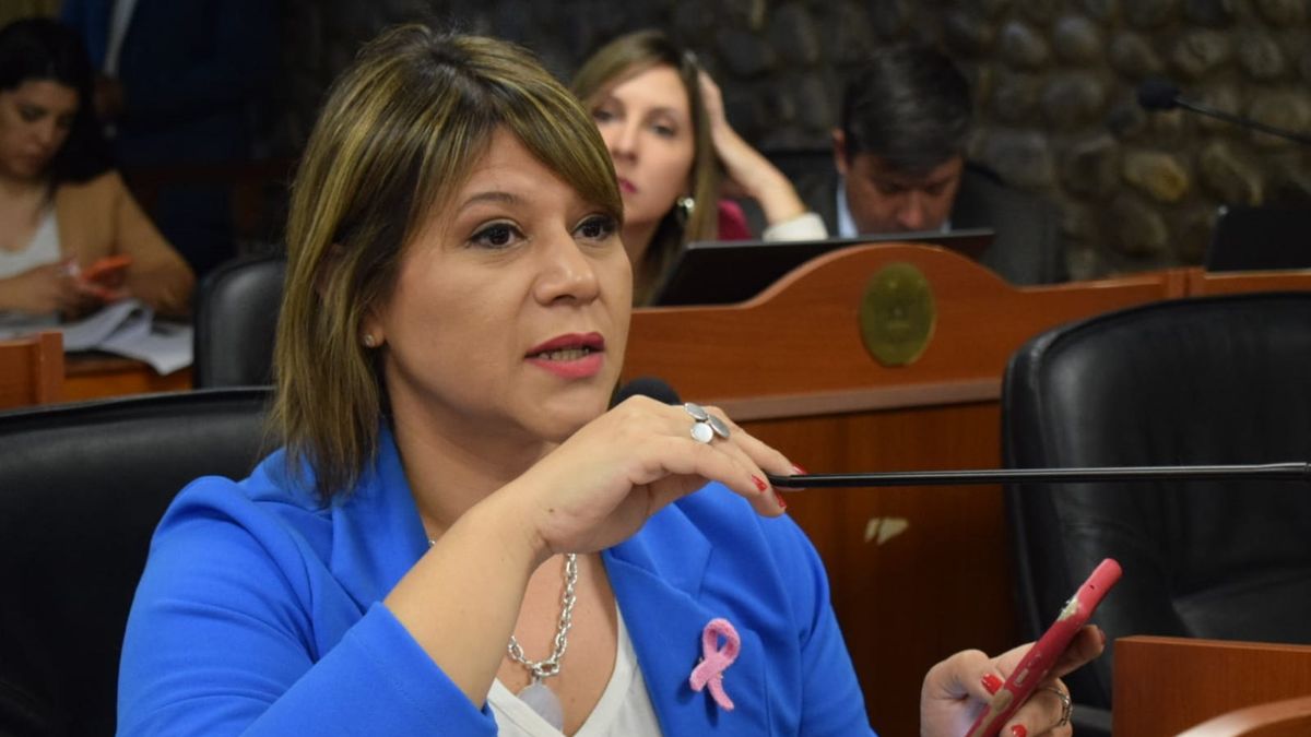 Si no sabe el estado de la causa de Guaraz es porque no le interesó ...